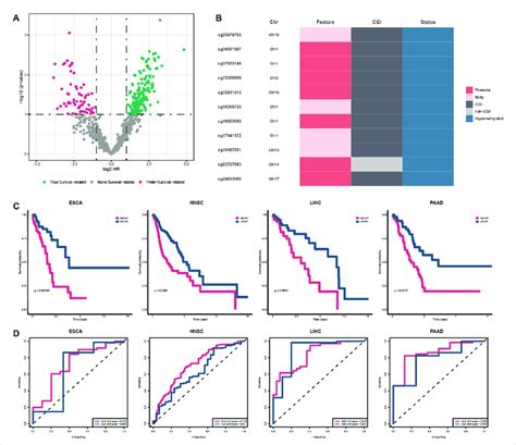 Survival Analysis Of Pdmps A Volcano Plot Showing The Download