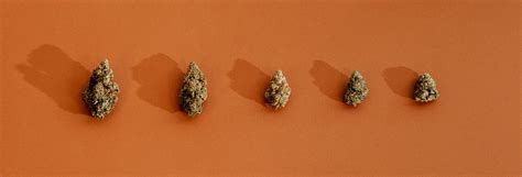 Elevate Weed Brands Leading Cannabis Brands And Products