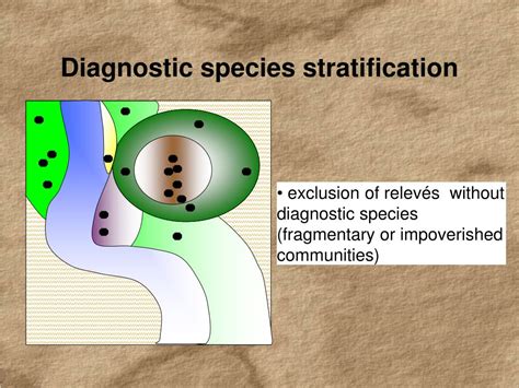 Ppt The Influence Of Data Stratification On Vegetation Classification Powerpoint Presentation