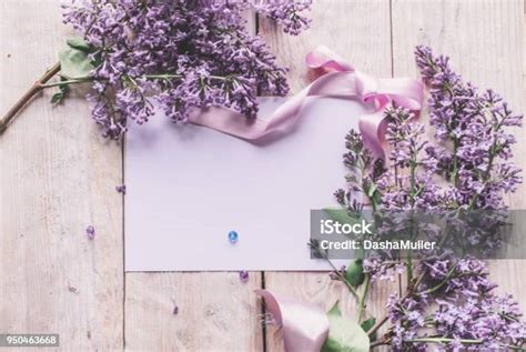 봄 꽃입니다 라일락 꽃 나무 백색 배경입니다 평면도 평면 공간을 복사 하다 0명에 대한 스톡 사진 및 기타 이미지 0명 공휴일 구도 Istock