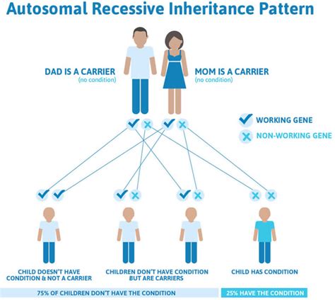 Autosomal Recessive Inheritance Pattern And Autosomal Recessive Diseases