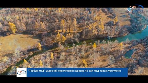 “Тэрбум мод” үндэсний хөдөлгөөний хүрээнд 42 сая мод тарьж ургуулжээ Youtube