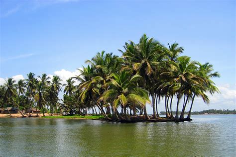 Best Beaches In Ghana Lonely Planet