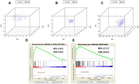 identification of an immune related long non coding rna signature and