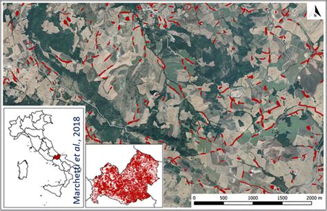 Inference On Forest Attributes And Ecological Diversity Of Trees Outside Forest By A Two Phase