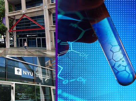 Bioinformatics Program Info Session Nyu Tandon School Of Engineering