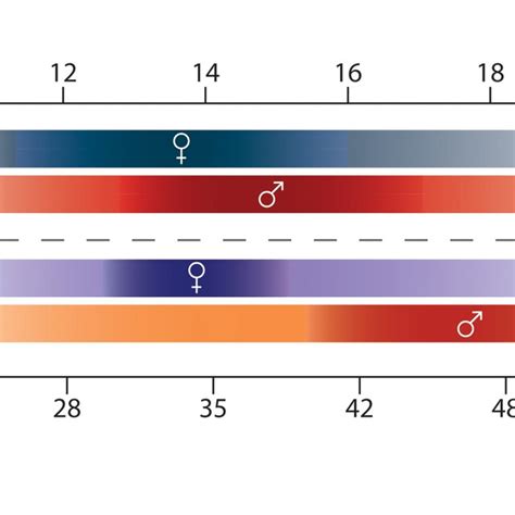 Adolescence And Puberty Timing In Humans And Rodents A Timeline Of