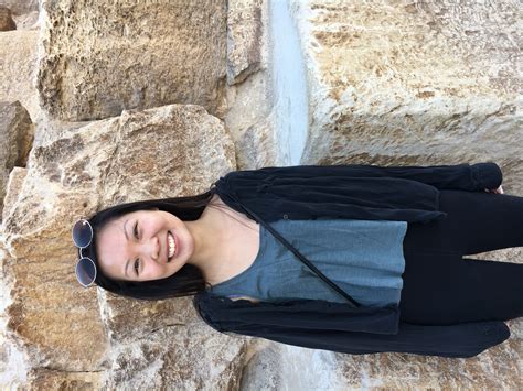 Three Phase Pulse Width Modulated Acdc Rectifier And Dcac Inverter