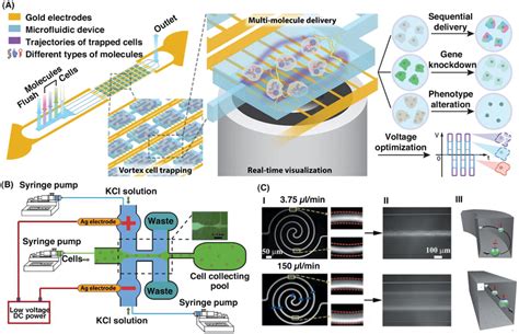 Schematic Representation Of Recent Advances In Microelectroporation