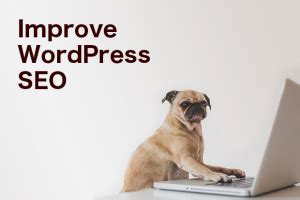 10 Ways To Improve SEO Within Wordpress