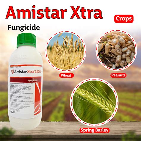 Syngenta Amistar Xtra Fungicide Agriplex