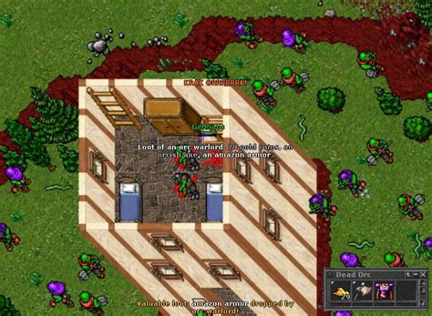 Arquivo Femor Hills Orc Raid Amazon Armor Png Tibia Wiki A