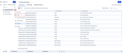 Data Management Finebi Help Document