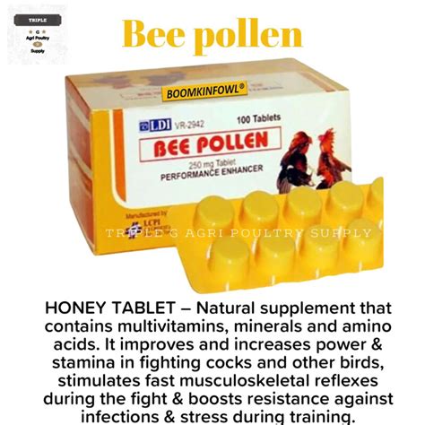 Bee Pollen 1box100 Tablets Shopee Philippines