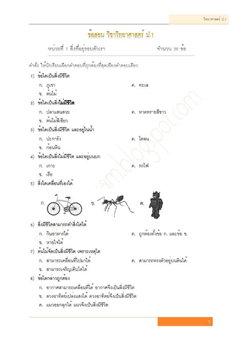 แบบทดสอบ แบบฝึกหัด ข้อสอบ วิทยาศาสตร์ ป 1 หน่วยที่ 1 สิ่งที่อยู่รอบตัวเรา
