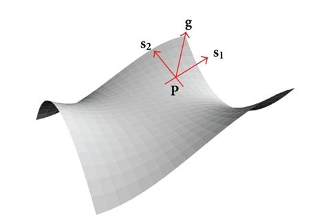 The Surface Has At Every Point P A Gradient G Normal To The Surface Download Scientific