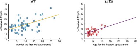 Figures And Data In Age Dependent Aggregation Of Ribosomal Rna Binding Proteins Links
