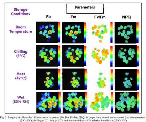 Figure 1 From Application Of Chlorophyll Fluorescence Imaging Technology For Fresh Quality