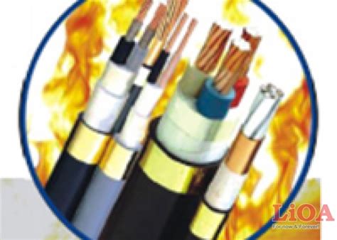 Wire And Cable Lioa