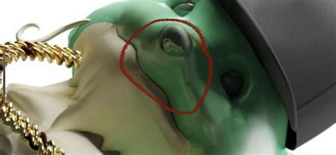 Scooby Doo R Multiversus