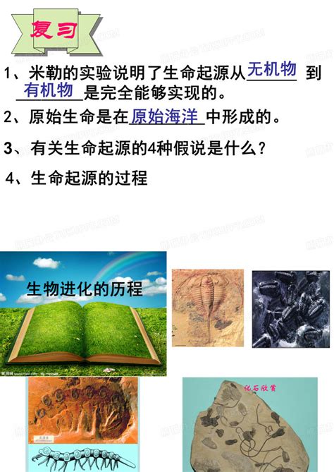 生物进化ppt模板下载 编号lpoxoava 熊猫办公