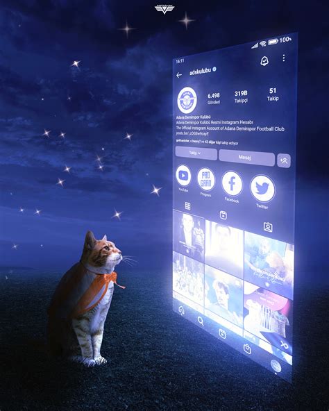 Cat Edit By Adstasarim On Deviantart