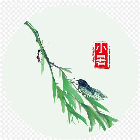 小暑创意节气图PNG图片素材下载 图片编号9603732 PNG素材网