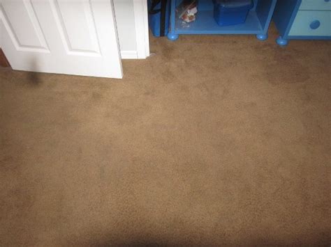 Effective Microorganisms® And Scd Probiotics Wow