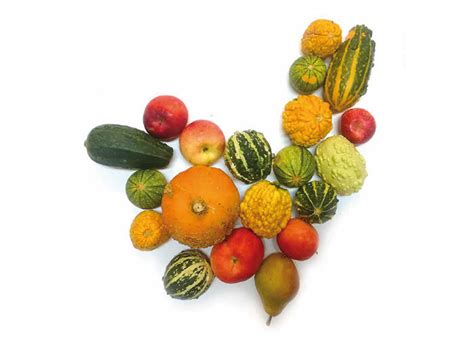 Mapping — Subjective Editions