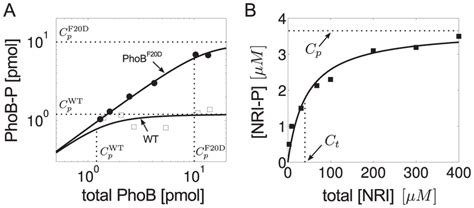 Experimental Observations Of Concentration Robustness In Download Scientific Diagram