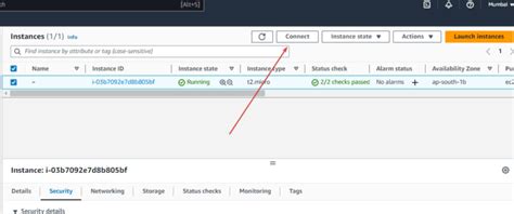 How To Create A Ubuntu Linux Aws Ec2 Instance On Amazon Cloud