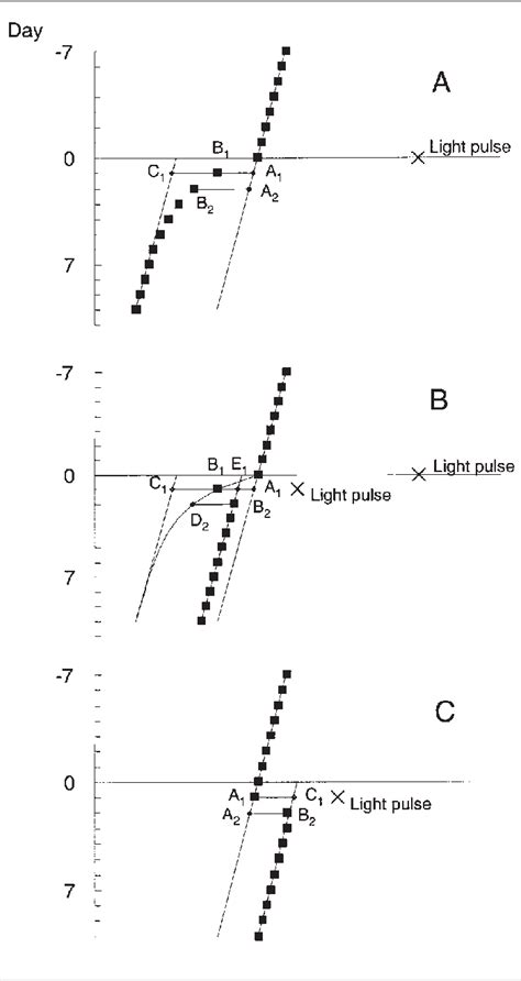 Experimental Protocol See Methods For Explanation Of The Protocol A Download Scientific