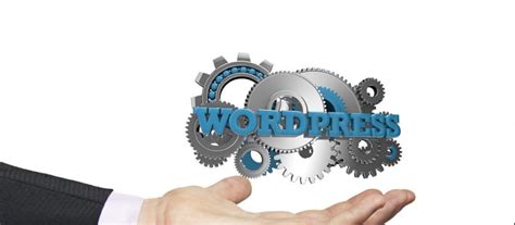 It Services Provider Appverse Technologies