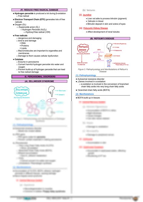 Solution 352 Cell Biology Physiology Peroxisomes Zellweger Syndrome