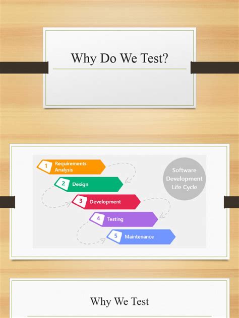 Why Do We Test Pdf Software Testing Application Software