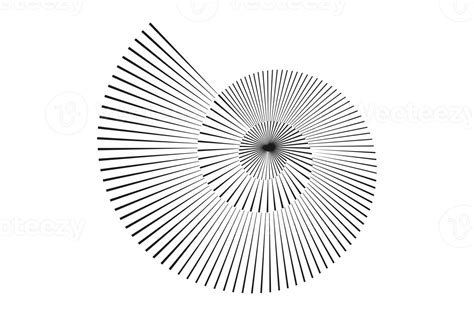 Abstract Stripped Nautilus Shell Symbol 20966253 Png