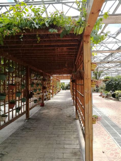 天津坤潤生態農莊打造一站式魚菜共生體驗館 每日頭條
