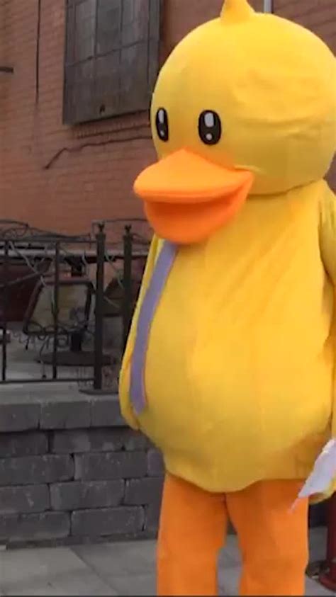 The Duck Show Wanna Read My Script Album On Imgur