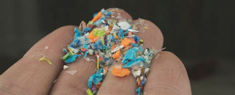 Microplastics Detected Infiltrating Human Brains For The First Time