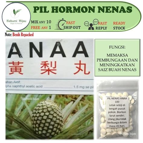 20 Biji Pil Paksa Nanas Nenas Berbunga Dan Berbuah Pineapple Repack Hormon Anaa Alpha Naphthyl