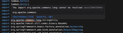 Package Org Apache Commons Lang Does Not Exist Spring Stack Overflow