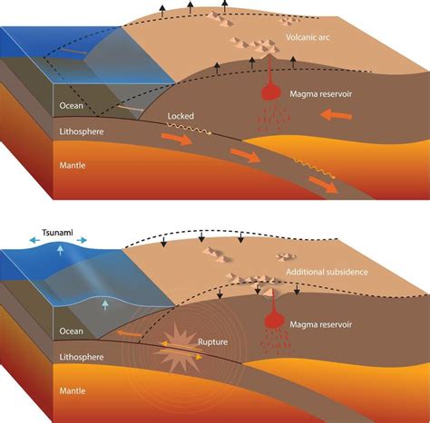 Illustration Of Megathrust Earthquake Diagram 49900690 Vector Art At