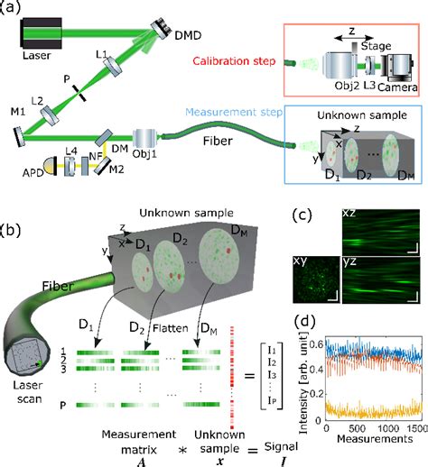Figure 1 From Speckle Based 3d Sub Diffraction Imaging Through A Multimode Fiber Semantic Scholar