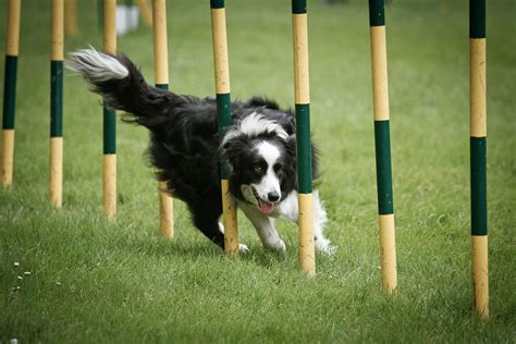 Making The Case For Cryptographic Agility And Orchestration My Blog