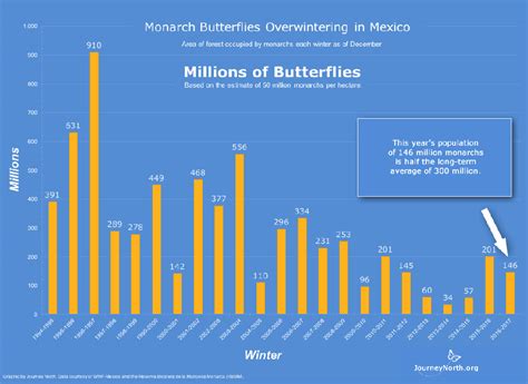10 Things You Might Not Know About The Monarch Migration