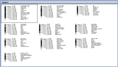 compiled maps using consensus step which shows the resultant map files