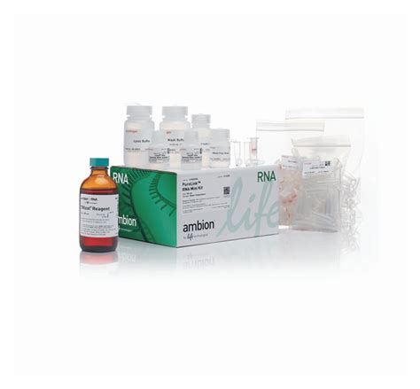 Rnasezaptm Rnase Decontamination Solution