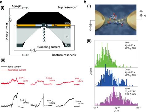 Dna Analysis Based On Transverse Current Measurements A I