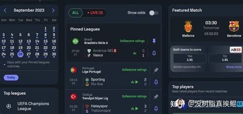 这八个官方足球比赛数据分析类的网站，还有人不知道？ 知乎