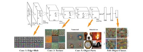 Object Detectiontensorflow Rosrobot Operating System Webots